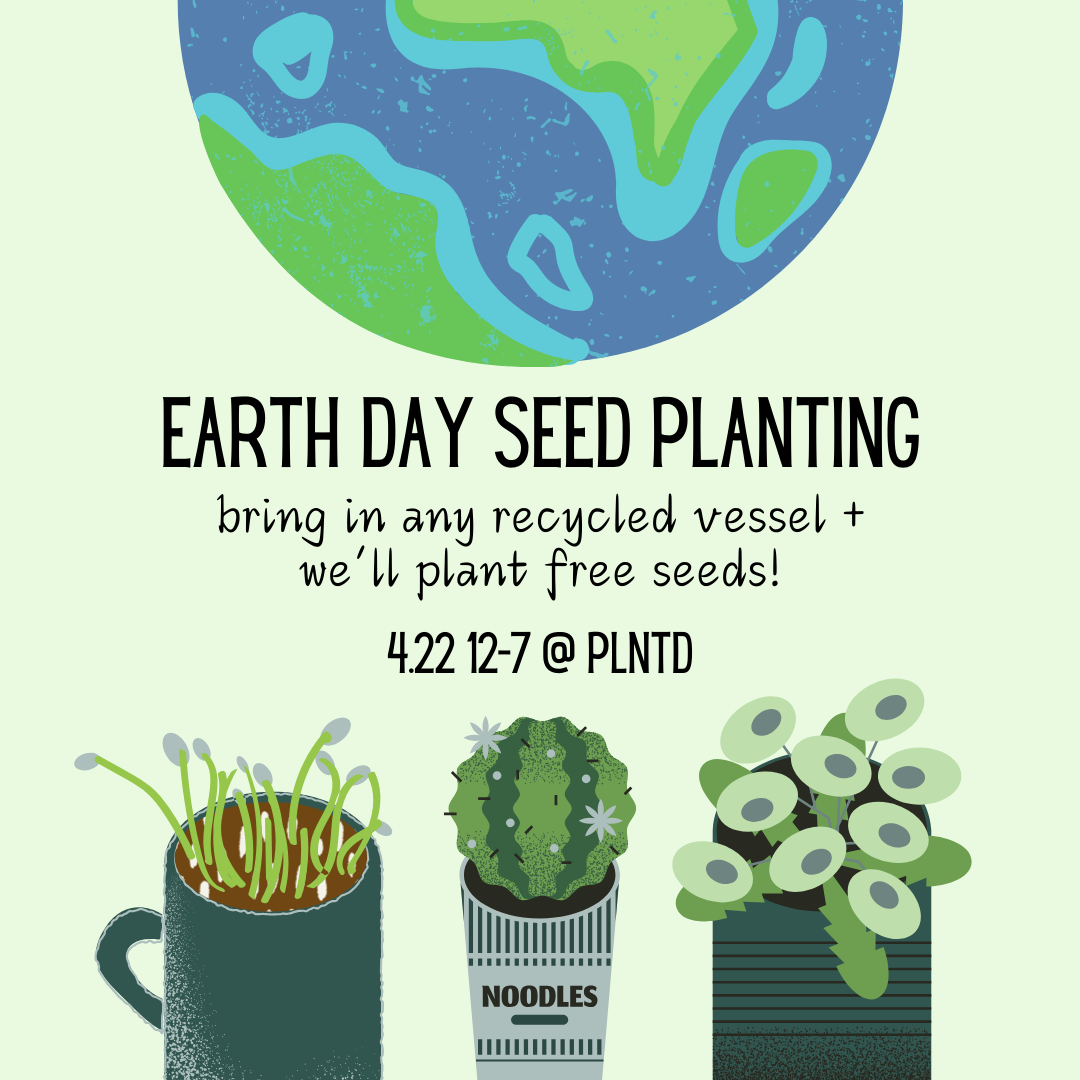 Earth Day FREE Seed Planting | PLNTD